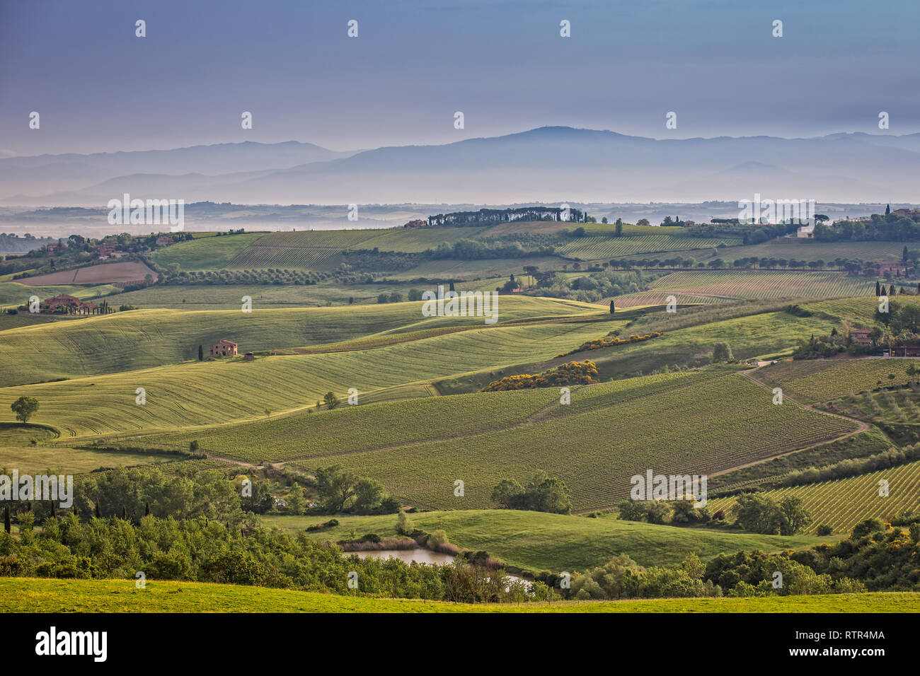 Rolling grass fields in italy hi-res stock photography and images - Alamy