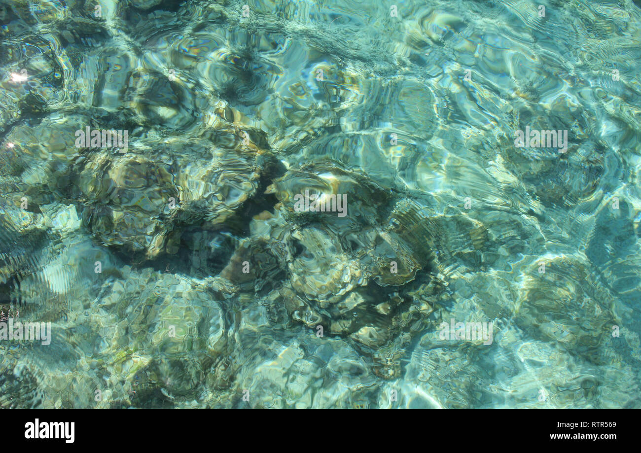 Underwater rock sea floor hi-res stock photography and images - Alamy