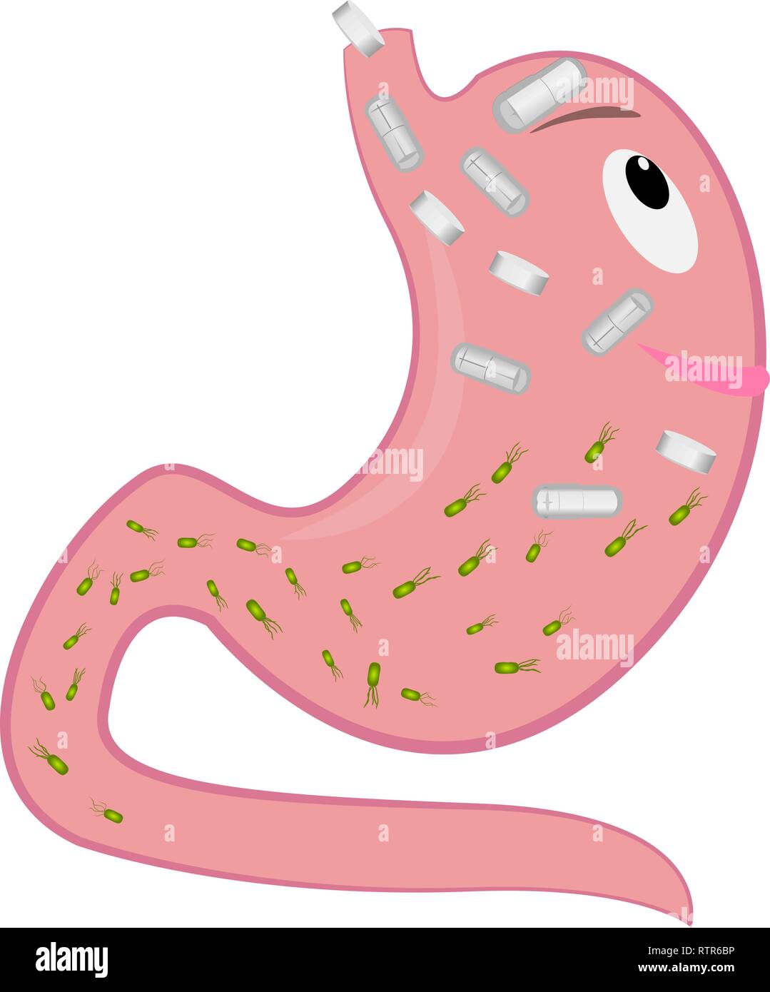 A Stomack taking medicines and Helicobacter pylori leaving. vector ...