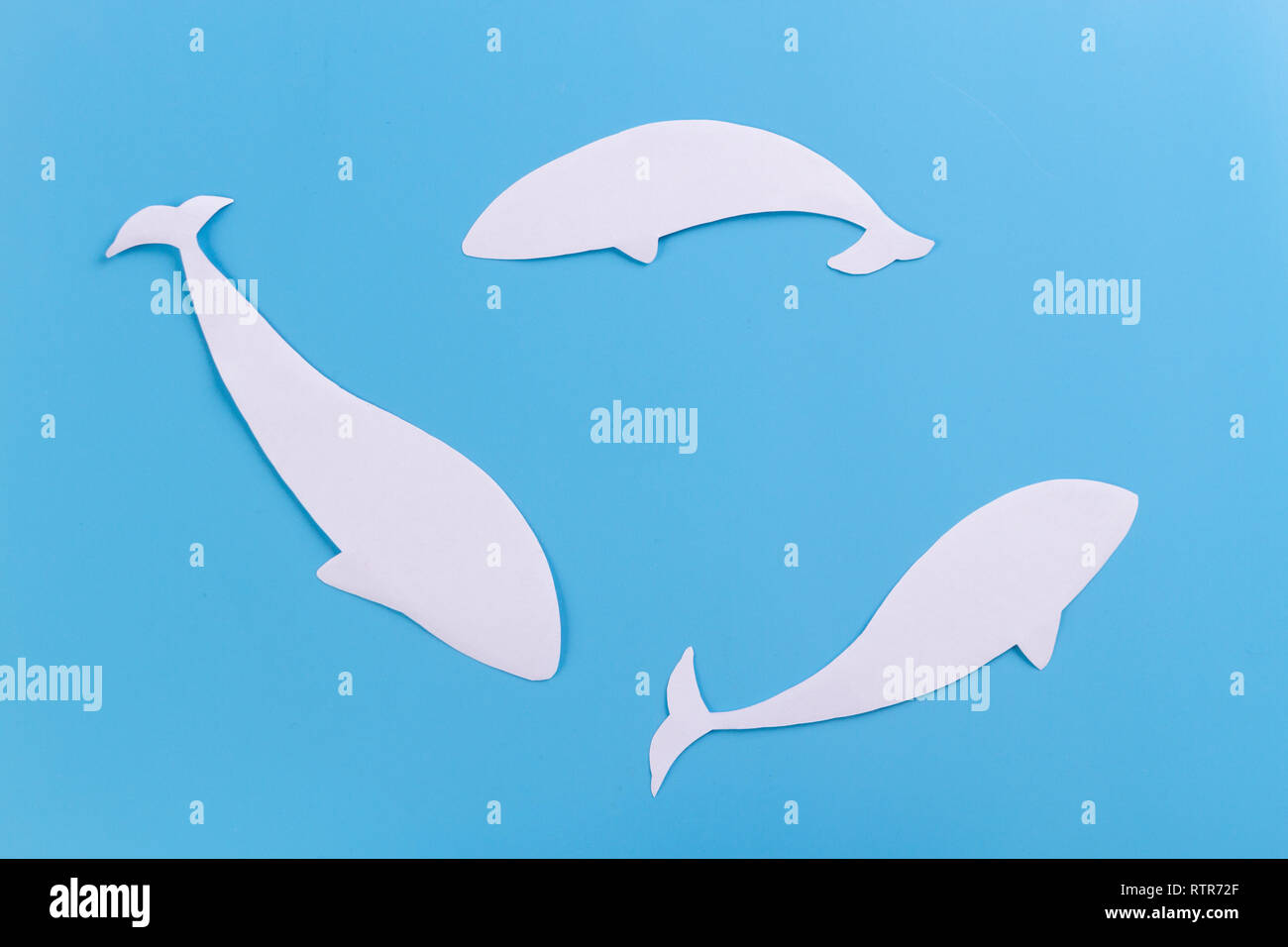 whale in the ocean. paper cut on blue background Stock Photo - Alamy