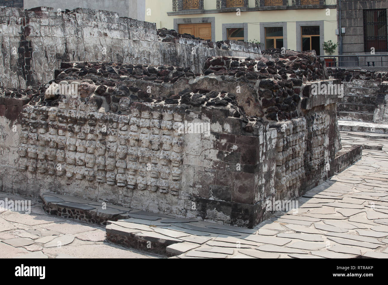 Skull rack hi-res stock photography and images - Alamy