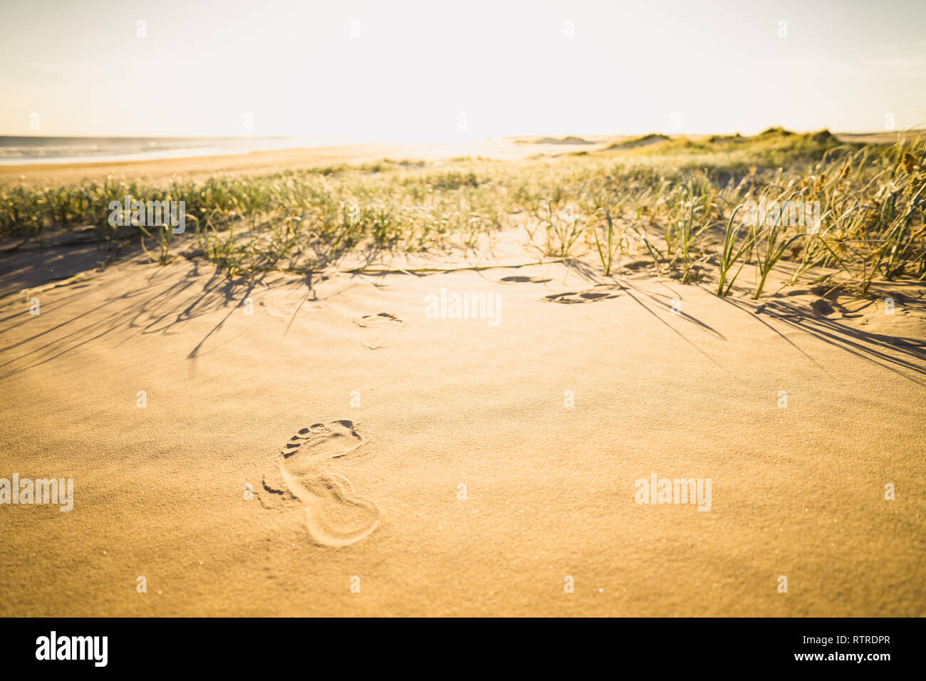 Leave only your footprint Stock Photo - Alamy