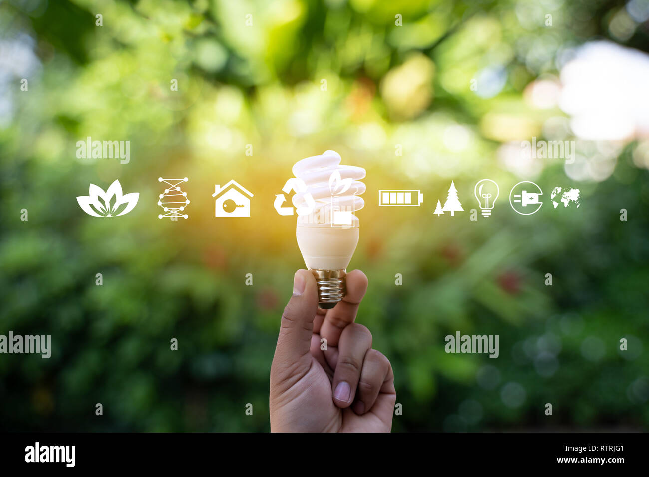 green energy concept energy sources sustainable Ecology Elements Stock ...