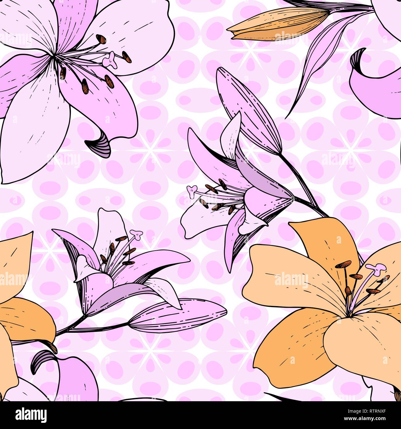 Vector Lily floral botanical flower. Engraved ink art. Seamless ...