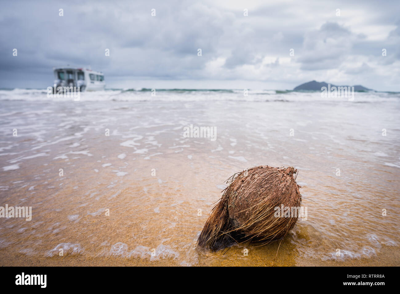 Coconut at the beach Stock Photo - Alamy