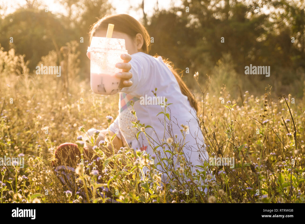 Drink Boba Tea in the grassland, sunset light Stock Photo - Alamy