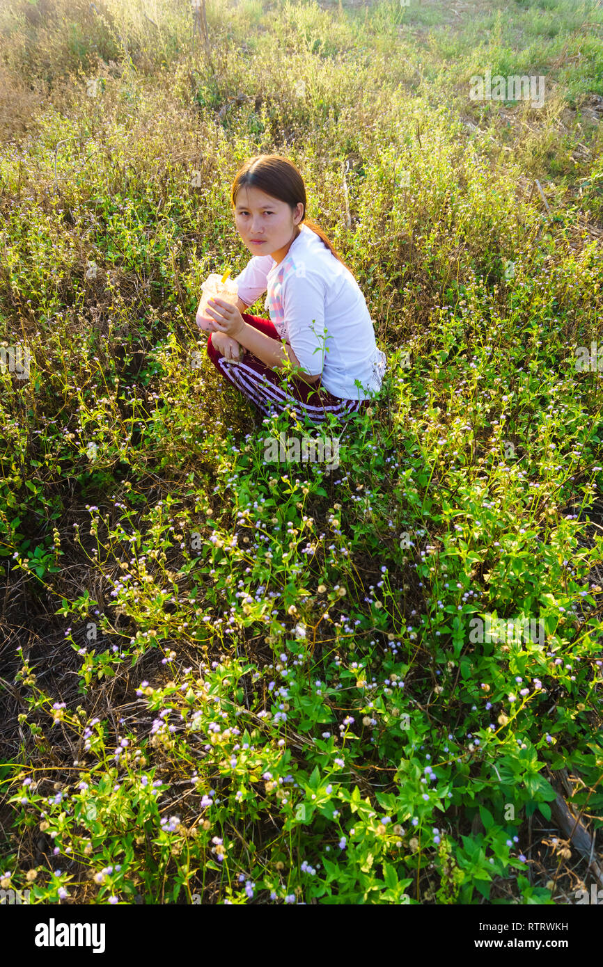 Boba tea hi-res stock photography and images - Alamy