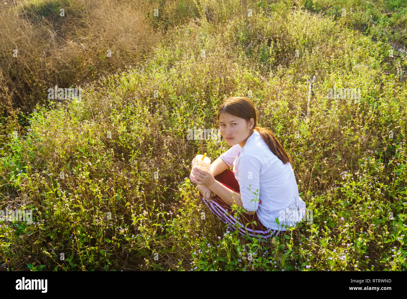 Drink Boba Tea in the grassland, sunset light Stock Photo - Alamy