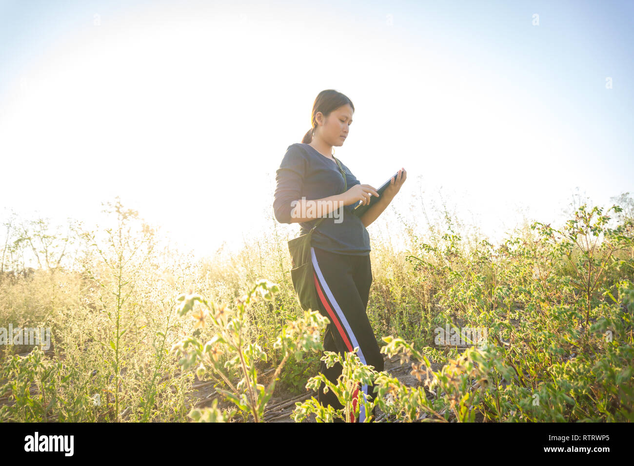 Work outside the office, where you can work Stock Photo - Alamy