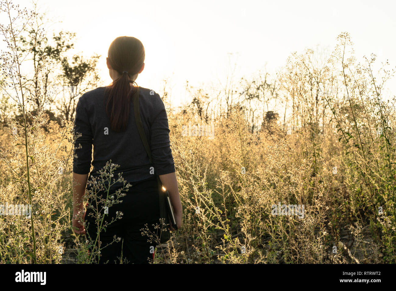 Work outside the office, where you can work Stock Photo - Alamy