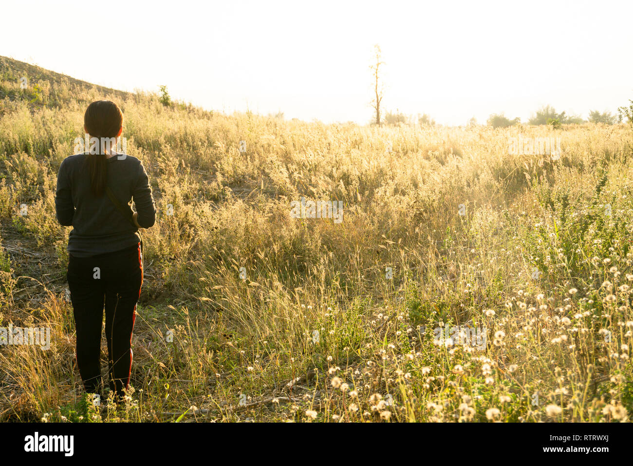 Work outside the office, where you can work Stock Photo - Alamy