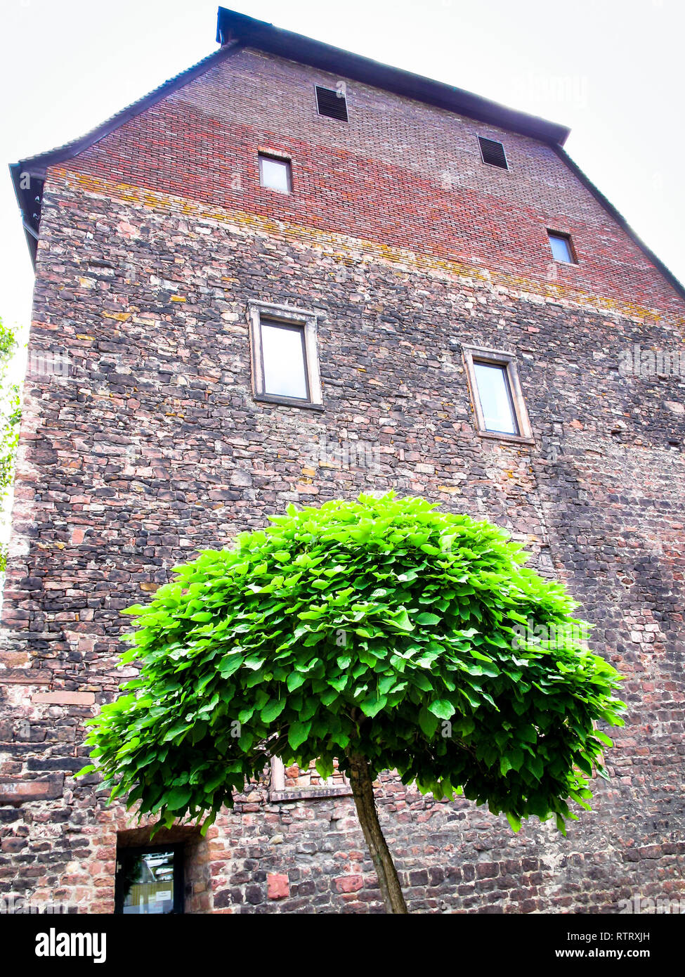 Abstract urban view, old bricked building next to a fresh young tree ...