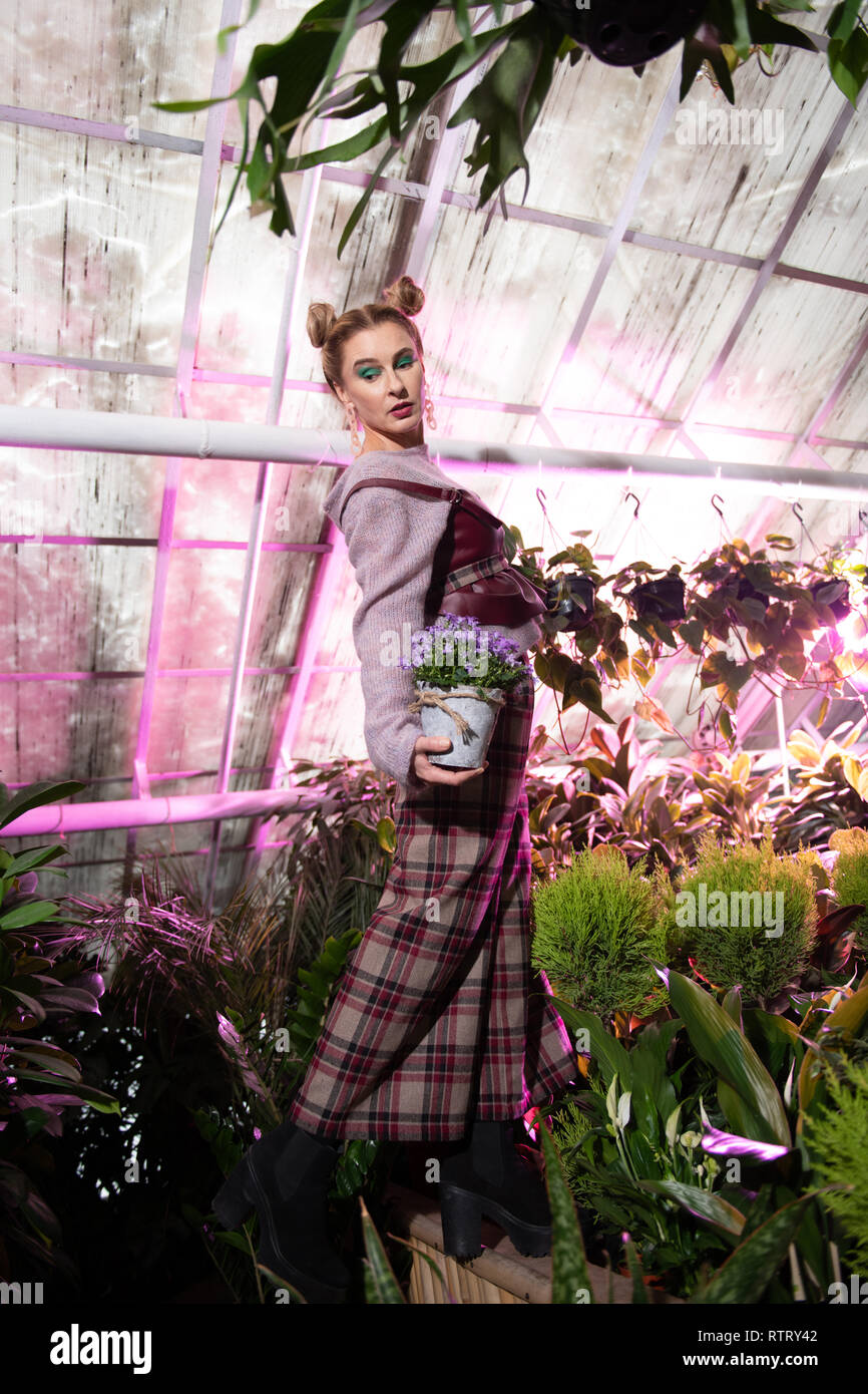 Plant plants pot green attractive hi-res stock photography and images ...