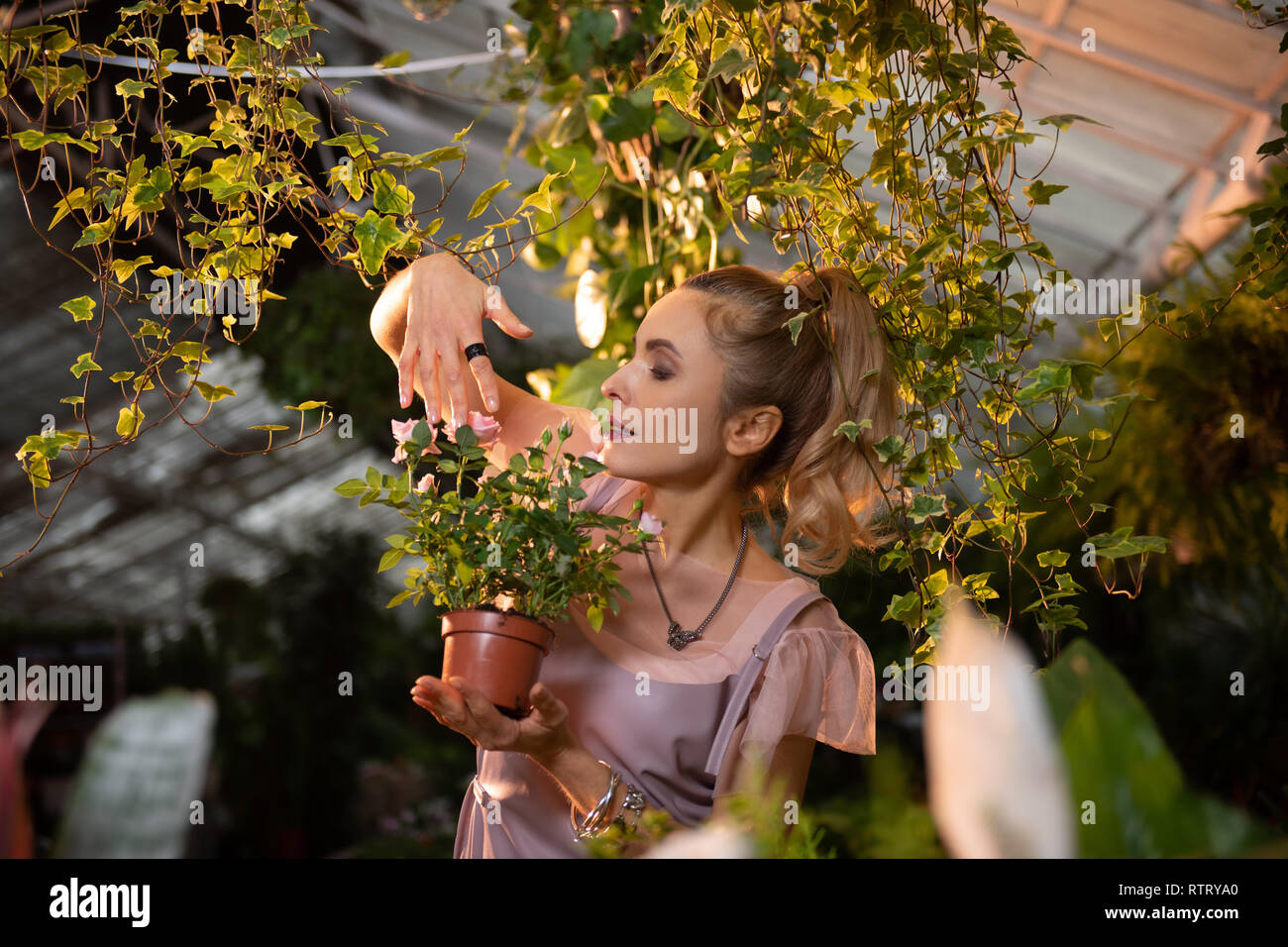 Pretty tender hi-res stock photography and images - Alamy