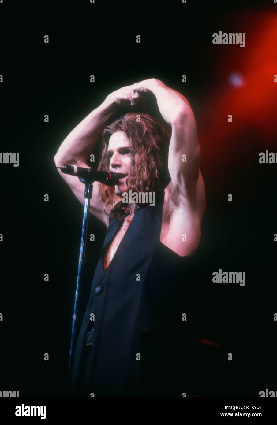 UNIVERSAL CITY, CA - FEBRUARY 6: (EXCLUSIVE) Singer Ricky Martin ...