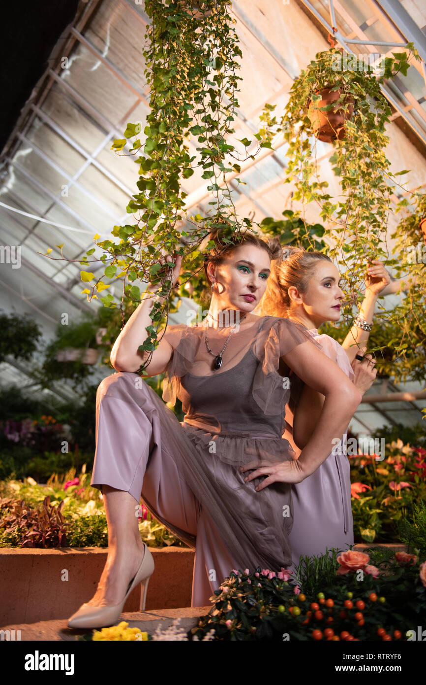 Plant plants pot green attractive hi-res stock photography and images ...