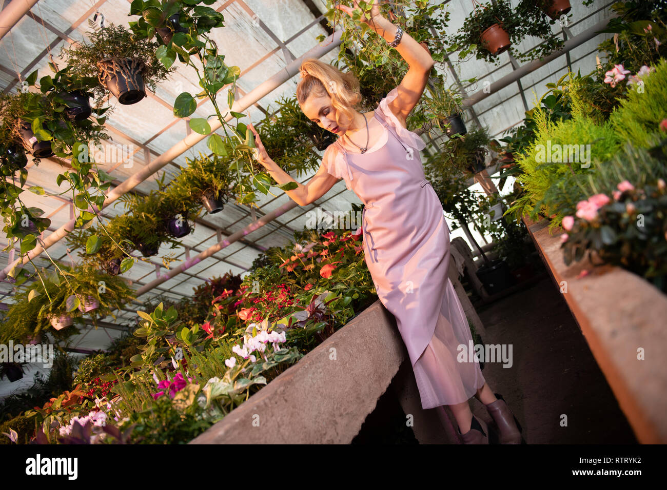 Gorgeous movement green hi-res stock photography and images - Alamy