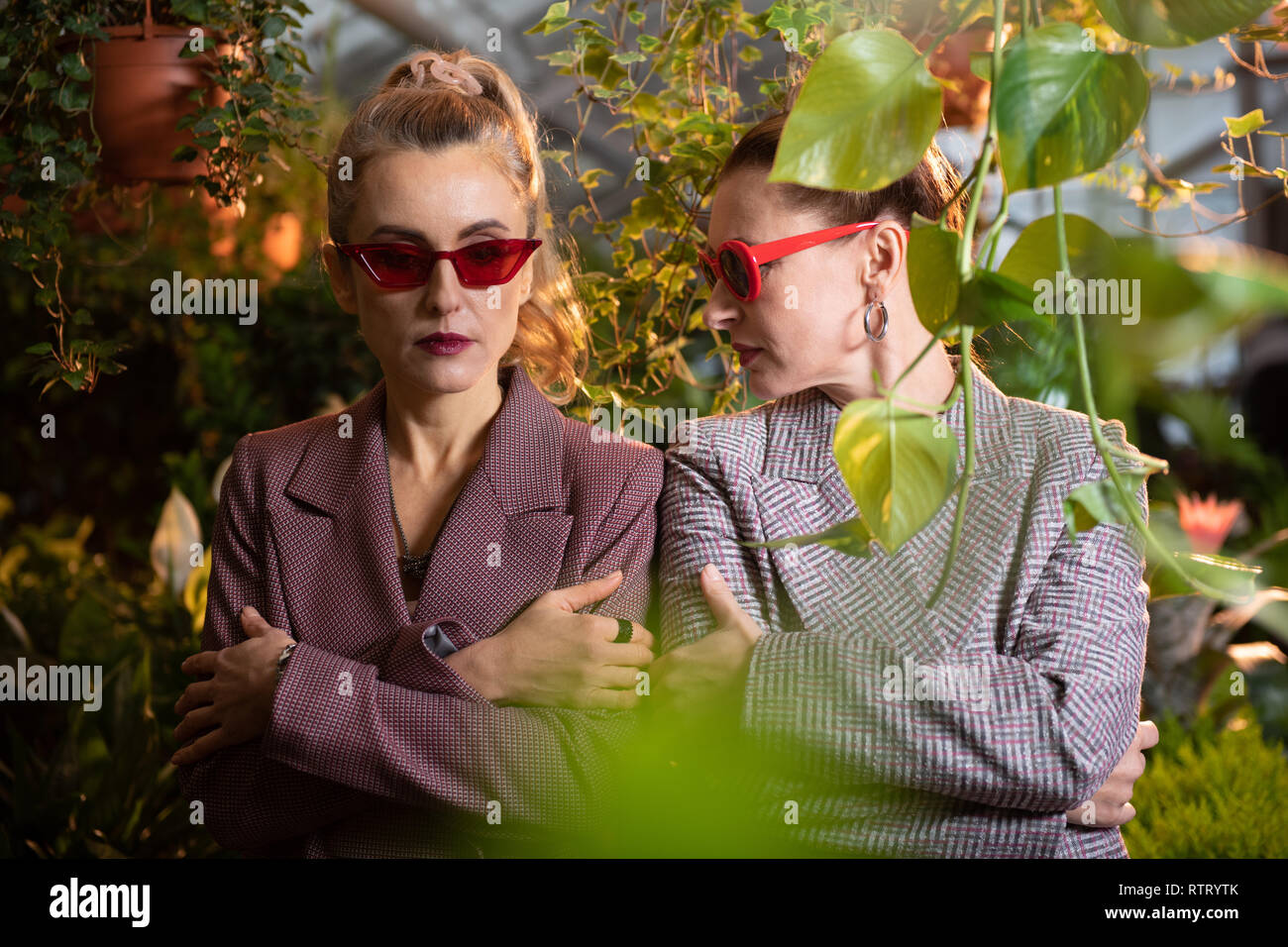 Portrait of nice serious attractive women Stock Photo - Alamy