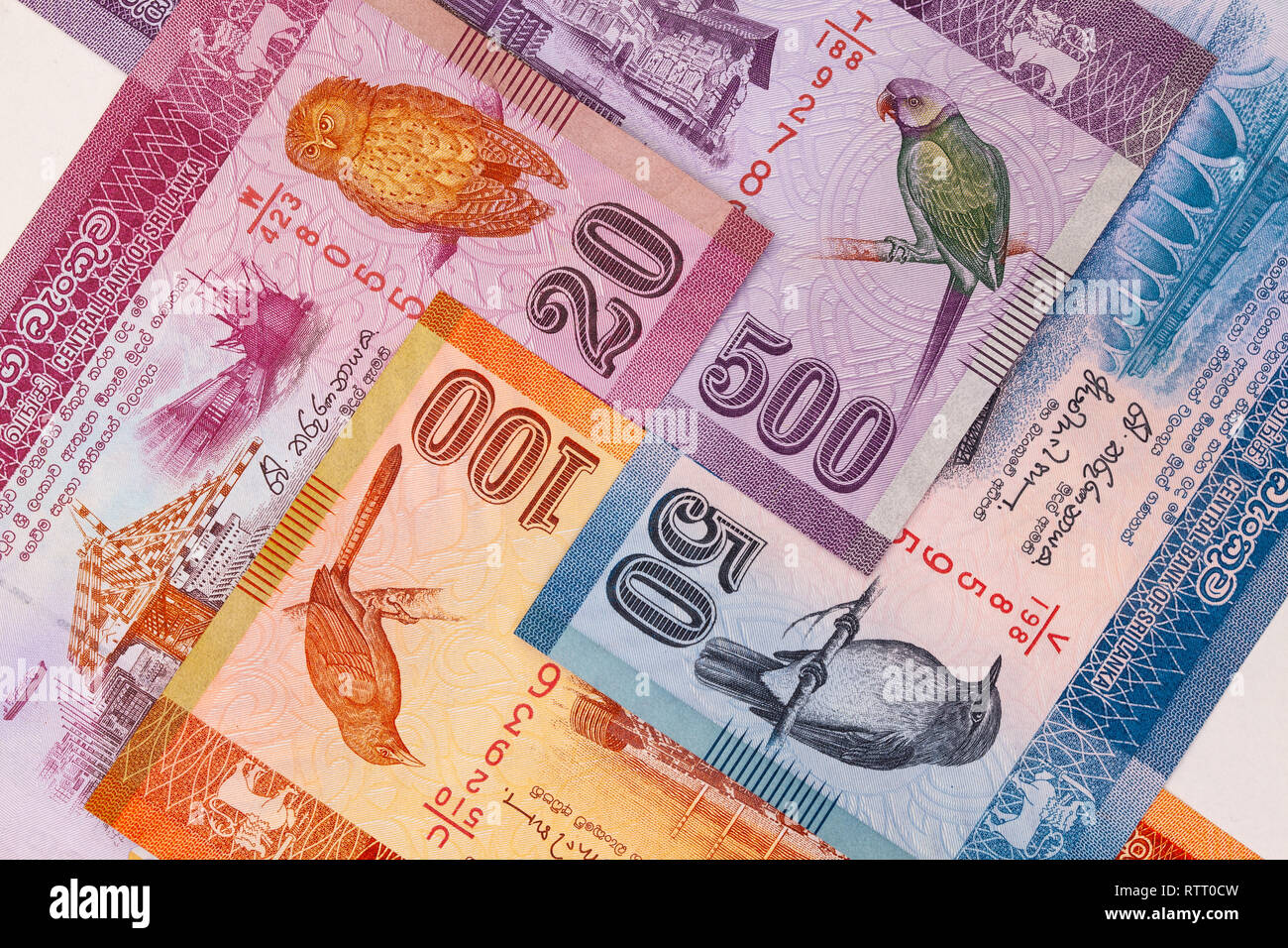 The symmetrical composition of Sri Lankan banknotes. Rupee, the ...