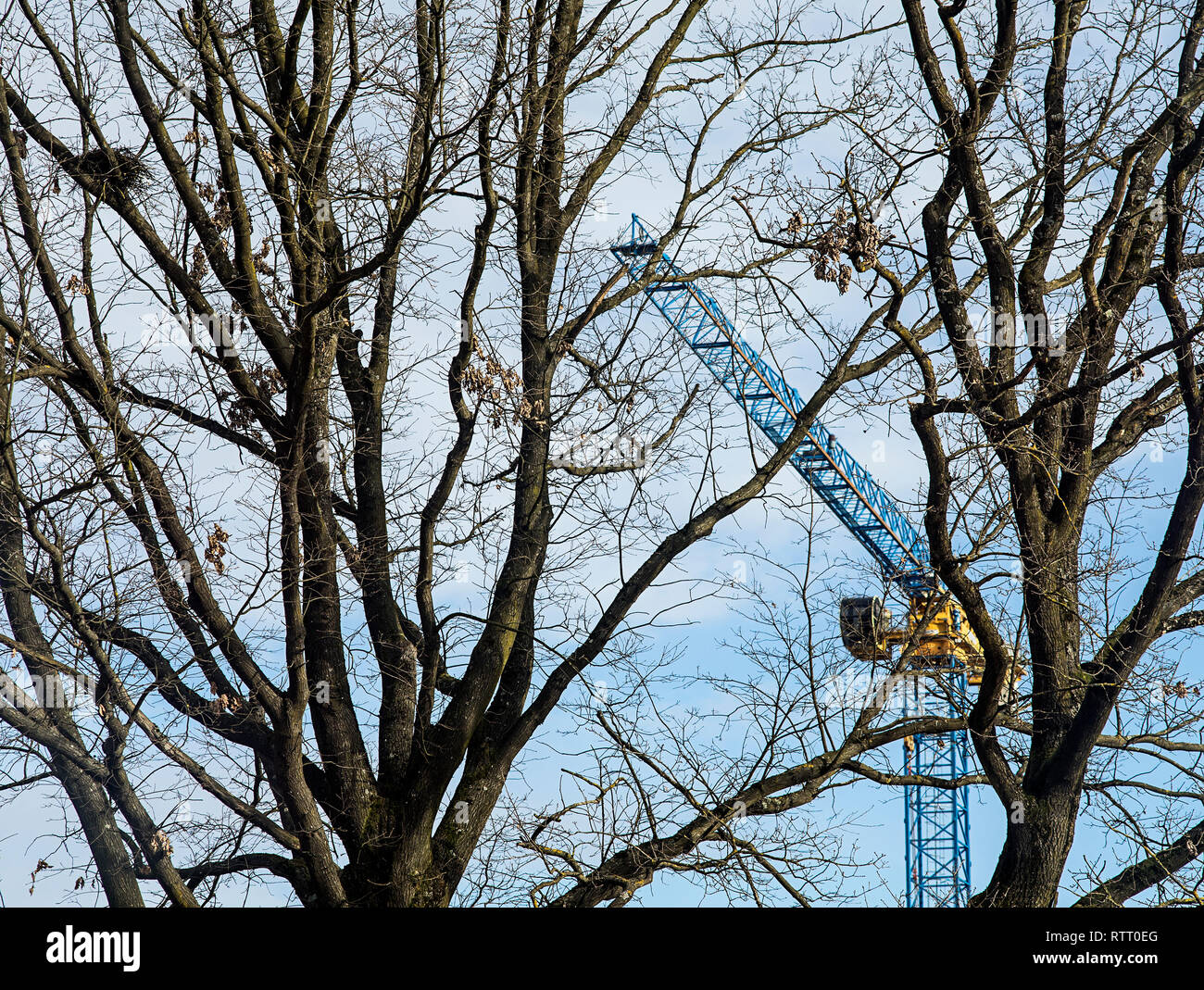 Heavy construction crane with trees infront and a small bird nest Stock ...