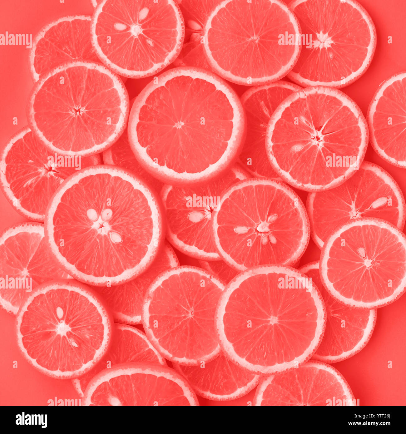Color Coral Background