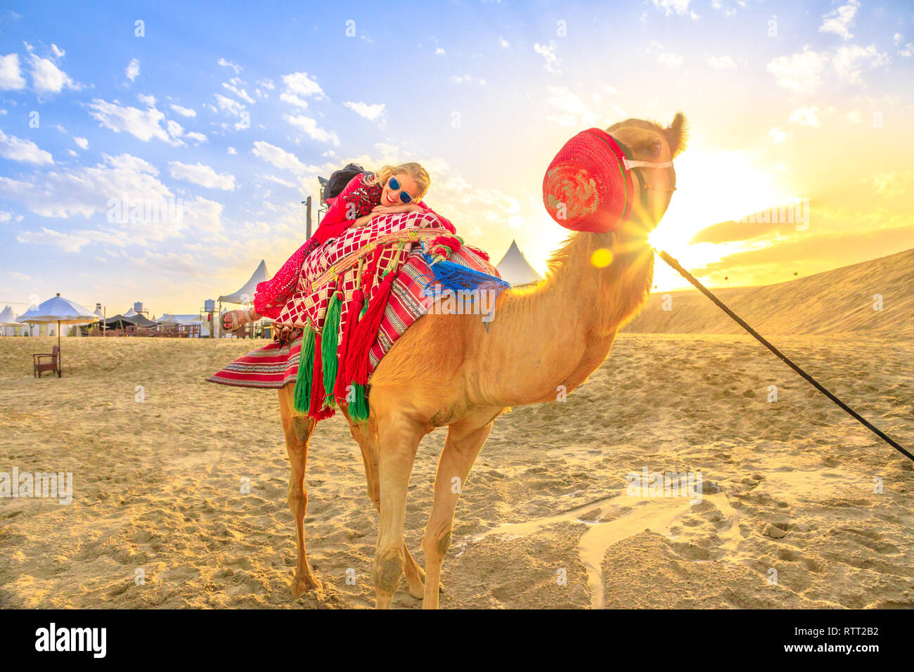 Qatar inland sea camel hi-res stock photography and images - Alamy