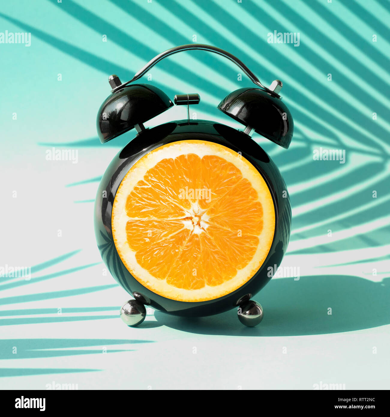 Summer time concepts idea with alarm clock and tropical leaf shadow on ...