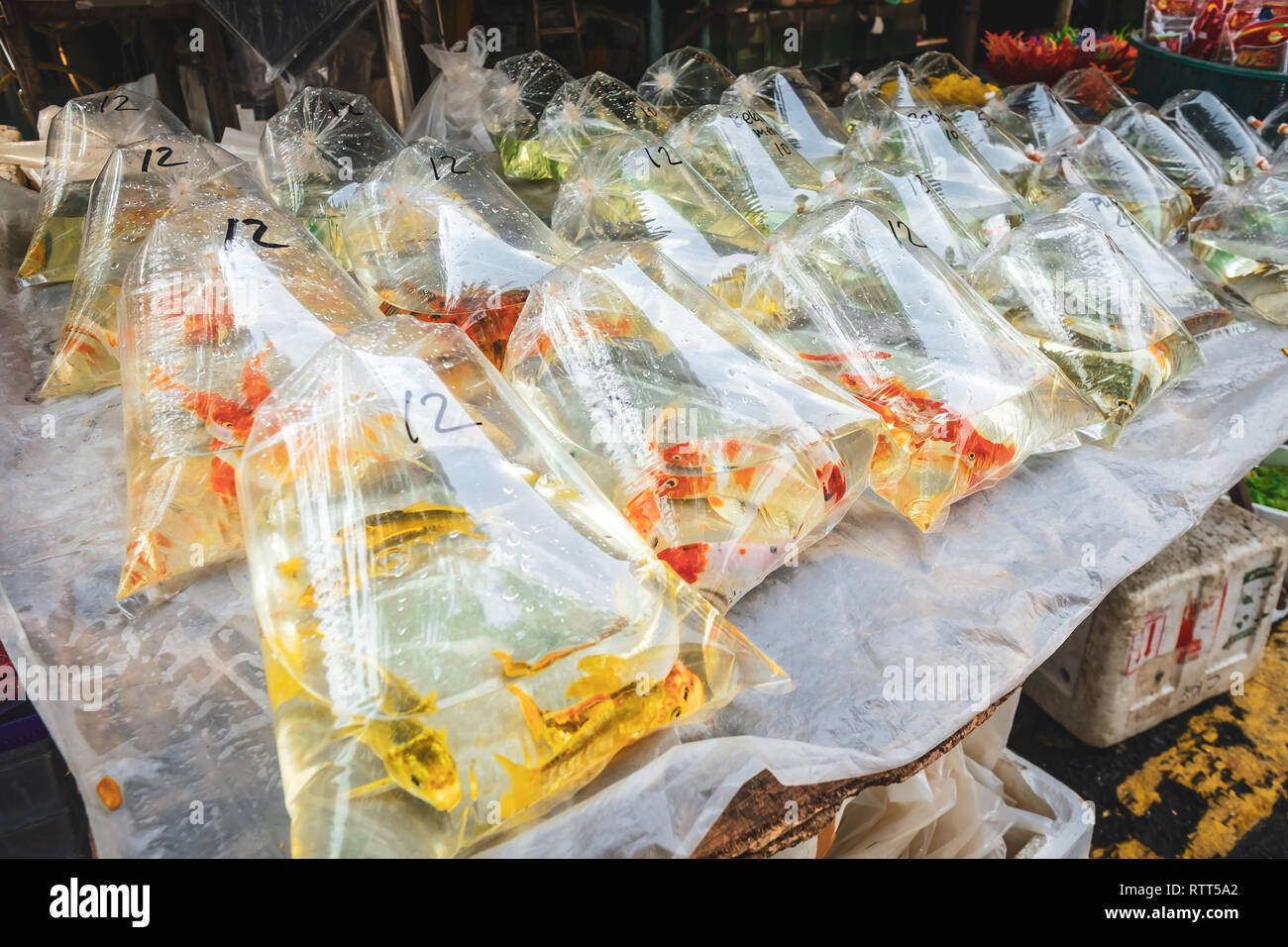 KUALA LUMPUR / MALAYSIA / JUNE 2014: Selling fishes in Pudu street ...