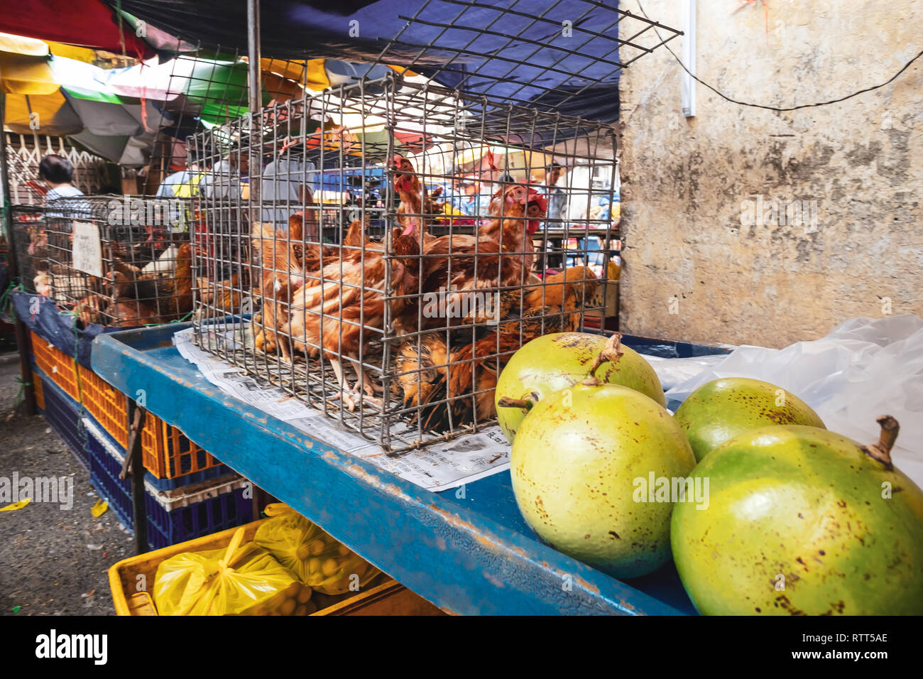 KUALA LUMPUR / MALAYSIA / JUNE 2014: Selling chickens in the Pudu ...