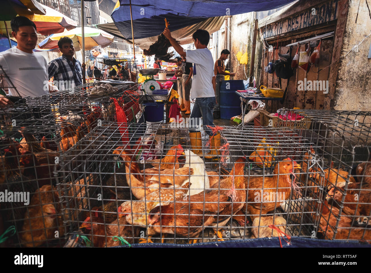 KUALA LUMPUR / MALAYSIA / JUNE 2014: Selling chickens in the Pudu ...