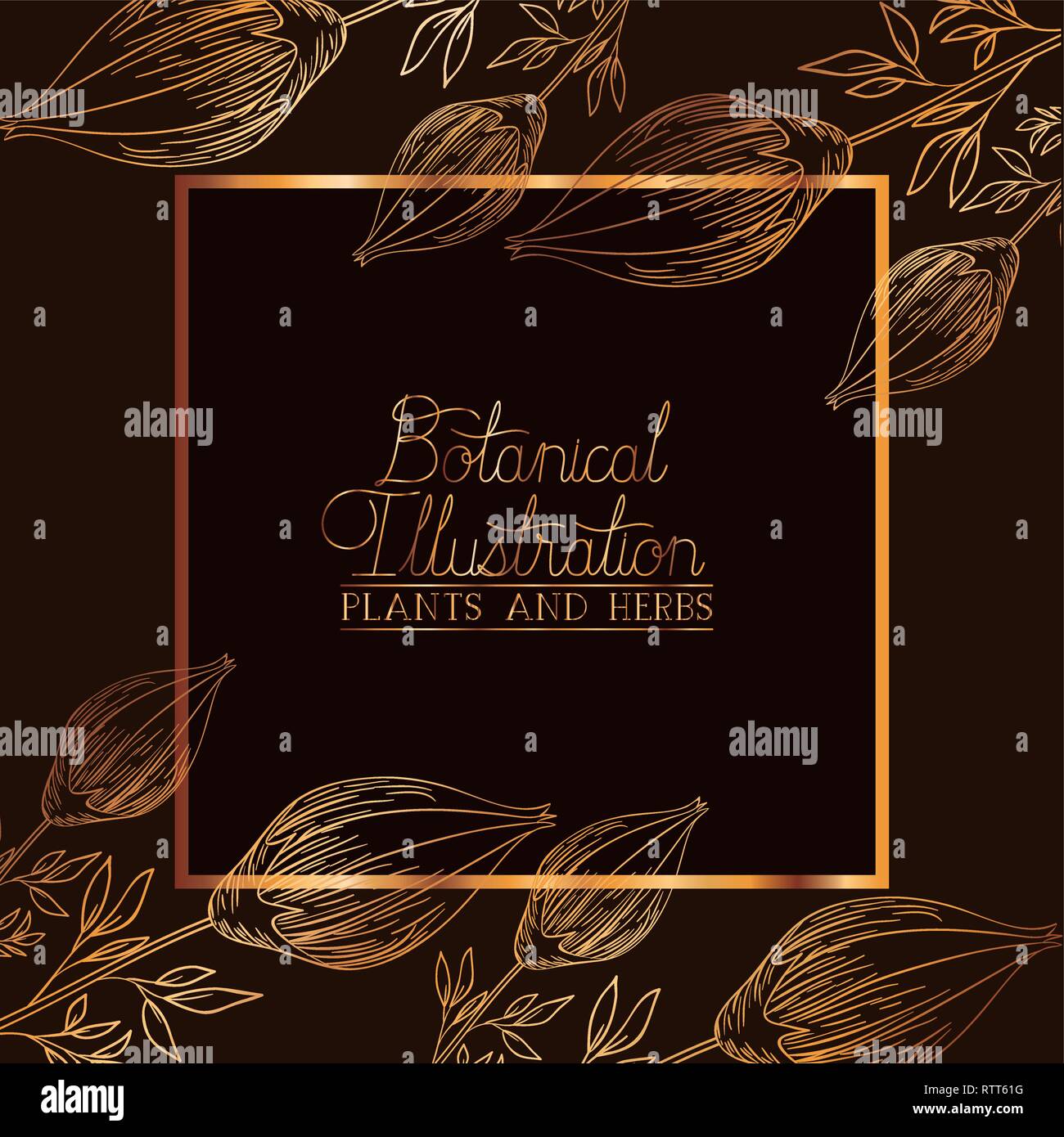 botanical illustration label with plants and herbs Stock Vector Image ...