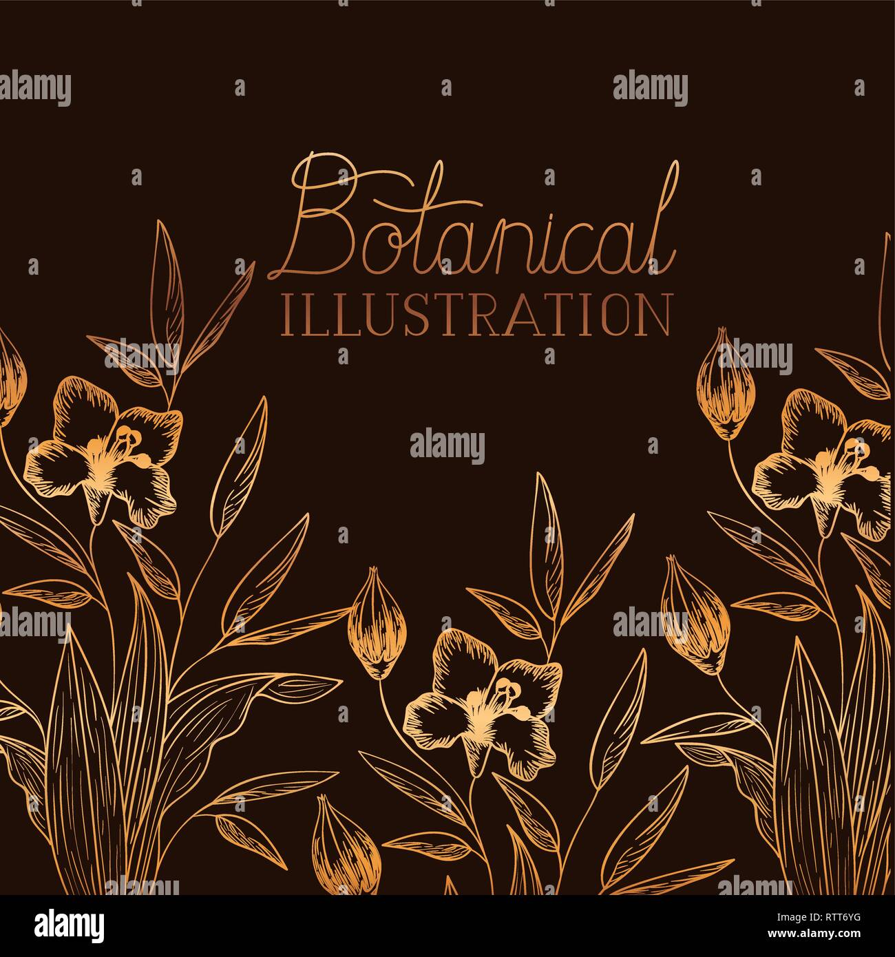 botanical illustration label with plants Stock Vector Image & Art - Alamy
