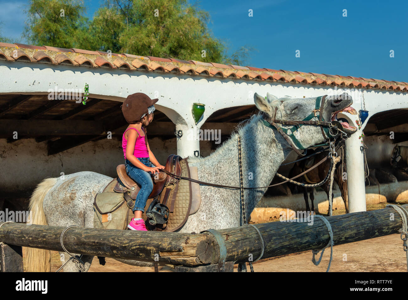 Little girl looking at and smiling sitting on a big horse outside of ...