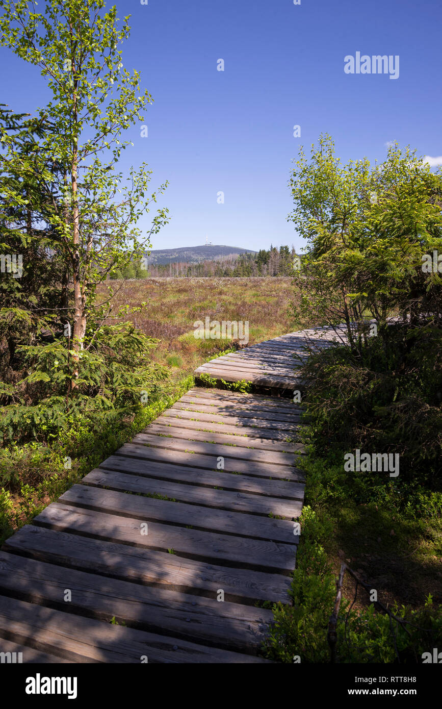 Goetheweg, Torfhaus, Harz, Niedersachsen, Deutschland Stock Photo - Alamy