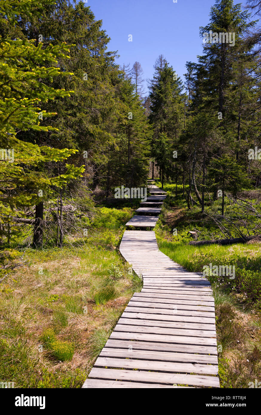 Goetheweg, Torfhaus, Harz, Niedersachsen, Deutschland Stock Photo - Alamy