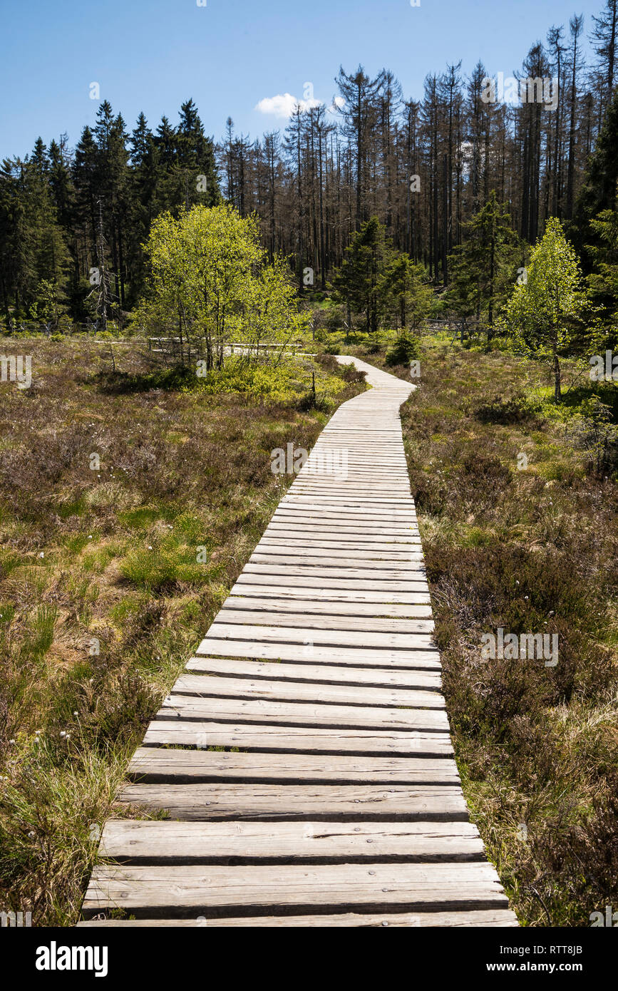 Goetheweg, Torfhaus, Harz, Niedersachsen, Deutschland Stock Photo - Alamy