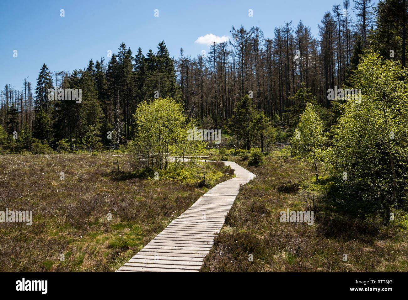 Goetheweg hi-res stock photography and images - Alamy