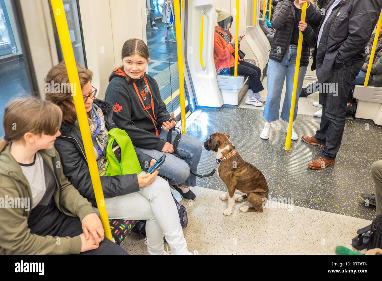 Dogs in underground hi-res stock photography and images - Alamy