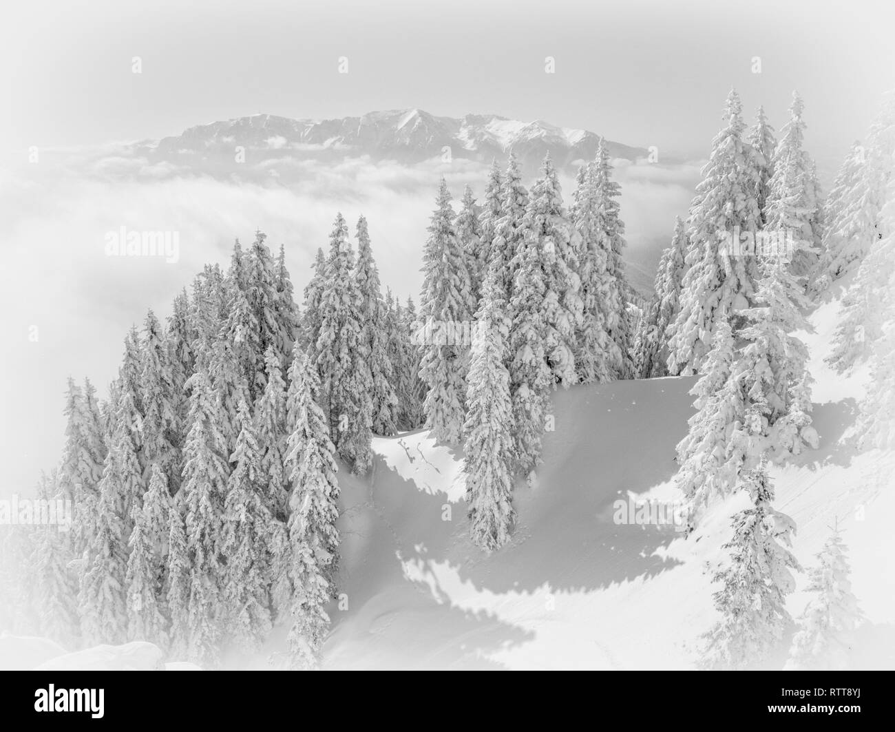 Blue sky and misty landscape Black and White Stock Photos & Images - Alamy