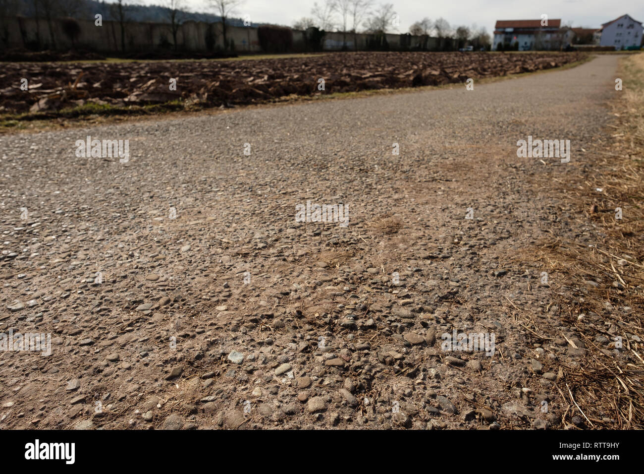 Dirt road with tar and focus on foreground with backlight Stock Photo ...