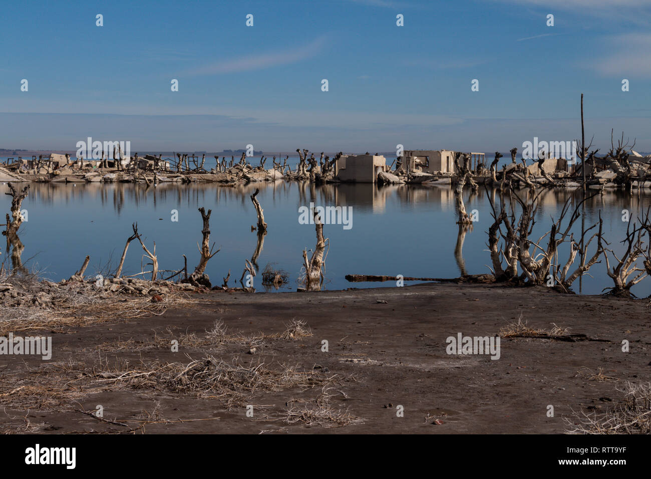 Desolate Urban Landscape