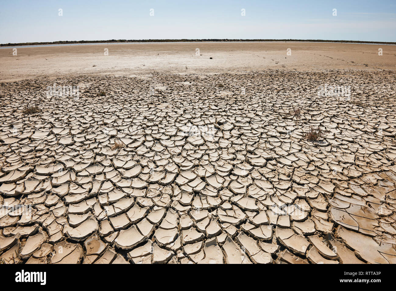 Earth and sand desert with birds footprints Stock Photo - Alamy