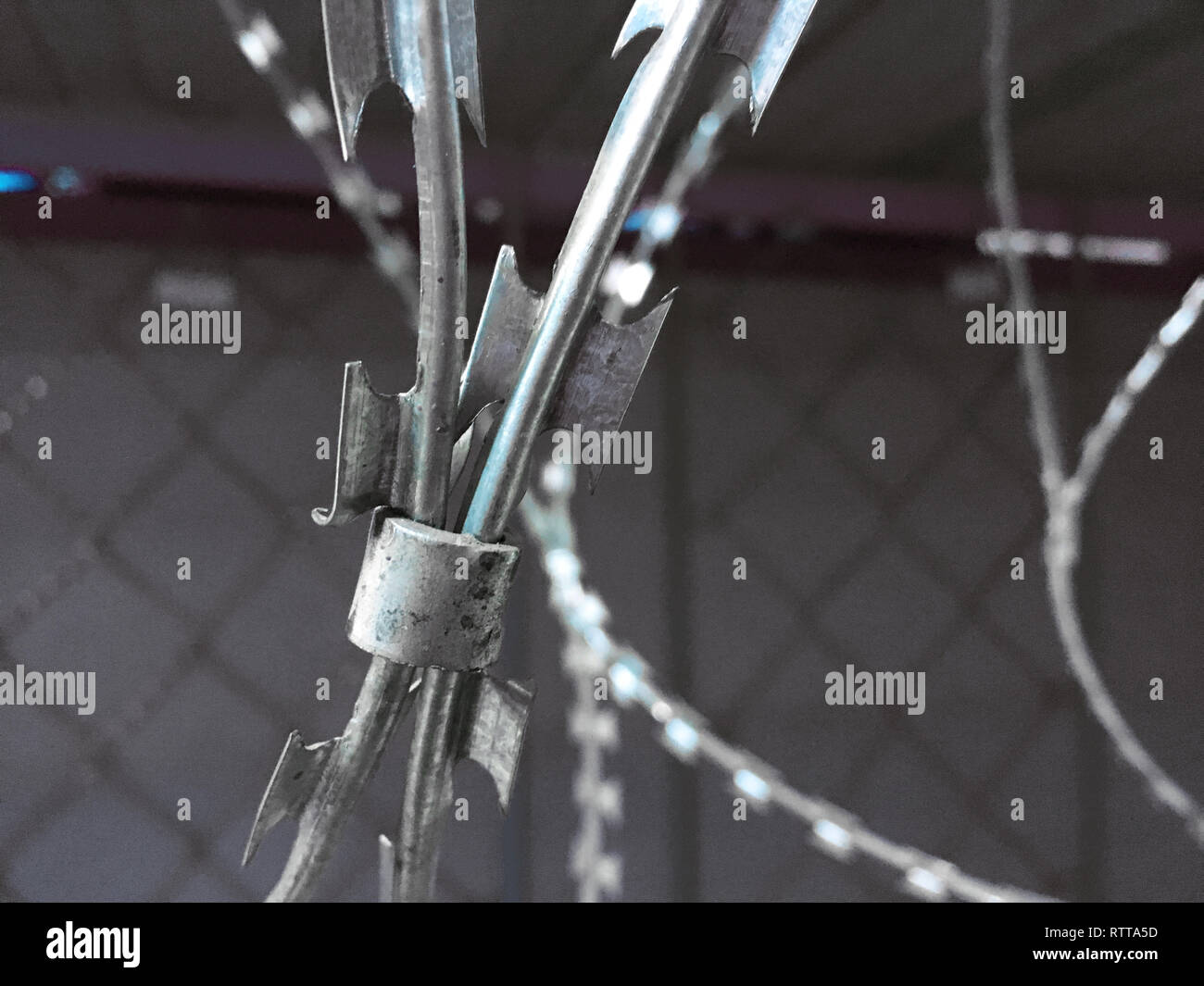 barbed steel wire are prepared for sales gray background Stock Photo ...