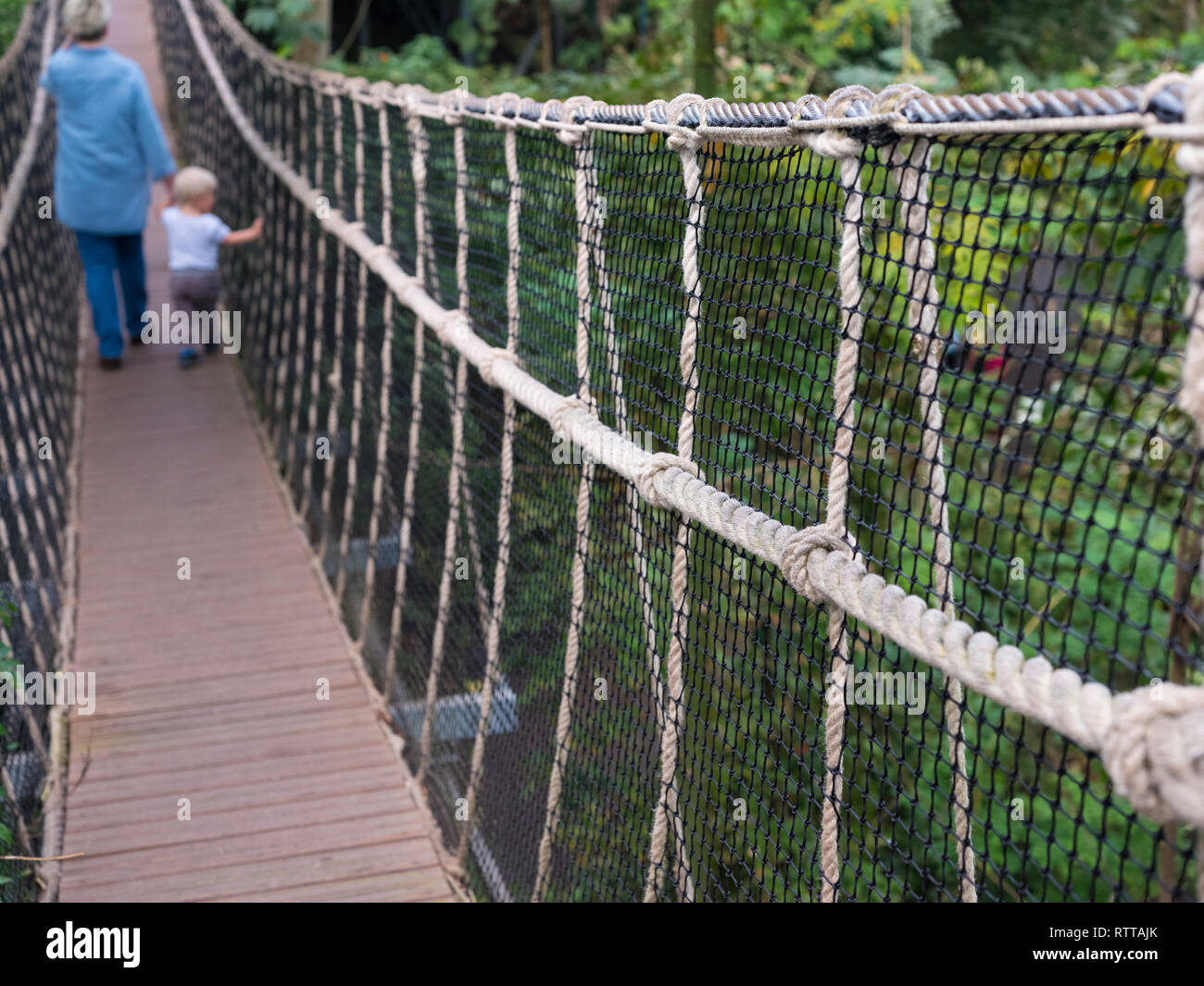 A mother and child walking across the rope bridge, rainforest biome ...