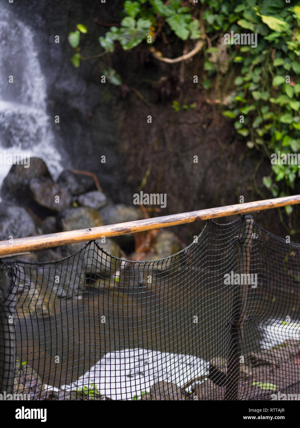 Waterfall, Rainforest, Eden Project Stock Photo - Alamy