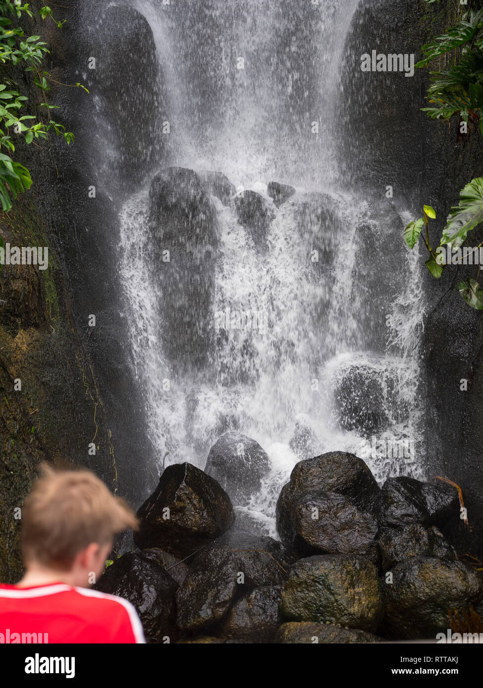 Waterfall, Rainforest, Eden Project Stock Photo - Alamy