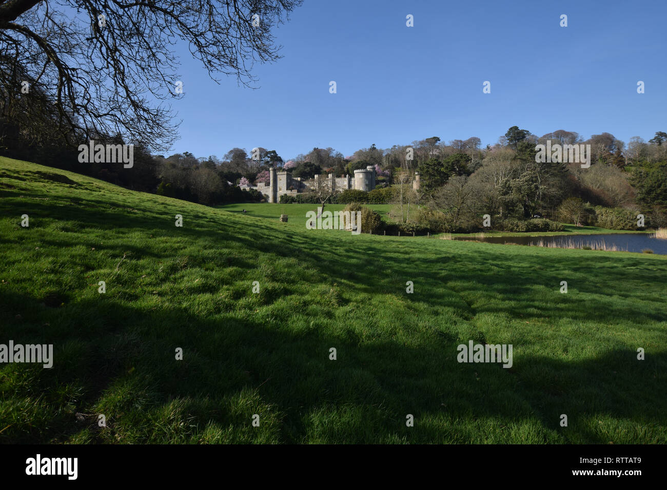 Caerhays gardens hi-res stock photography and images - Alamy