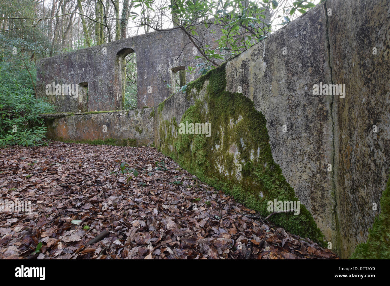 The ruins of Tivoli Park Lerryn Cornwall Stock Photo - Alamy