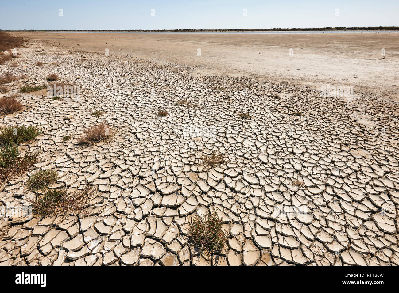 Earth and sand desert with birds footprints Stock Photo - Alamy