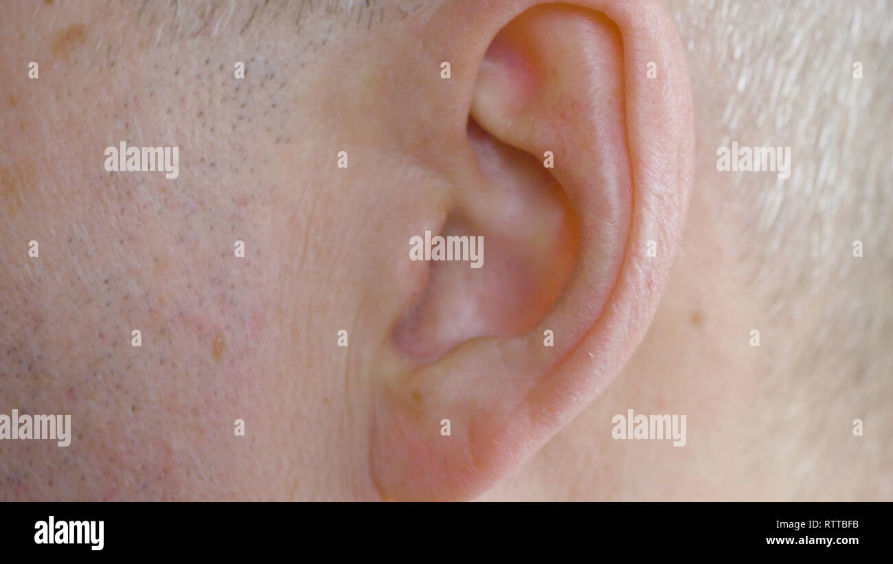 Male ear close up. Close up view man moving his ear, body part Stock ...